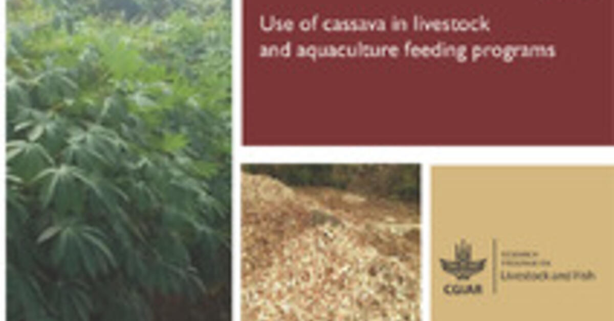 Use of cassava in livestock and aquaculture feeding programs