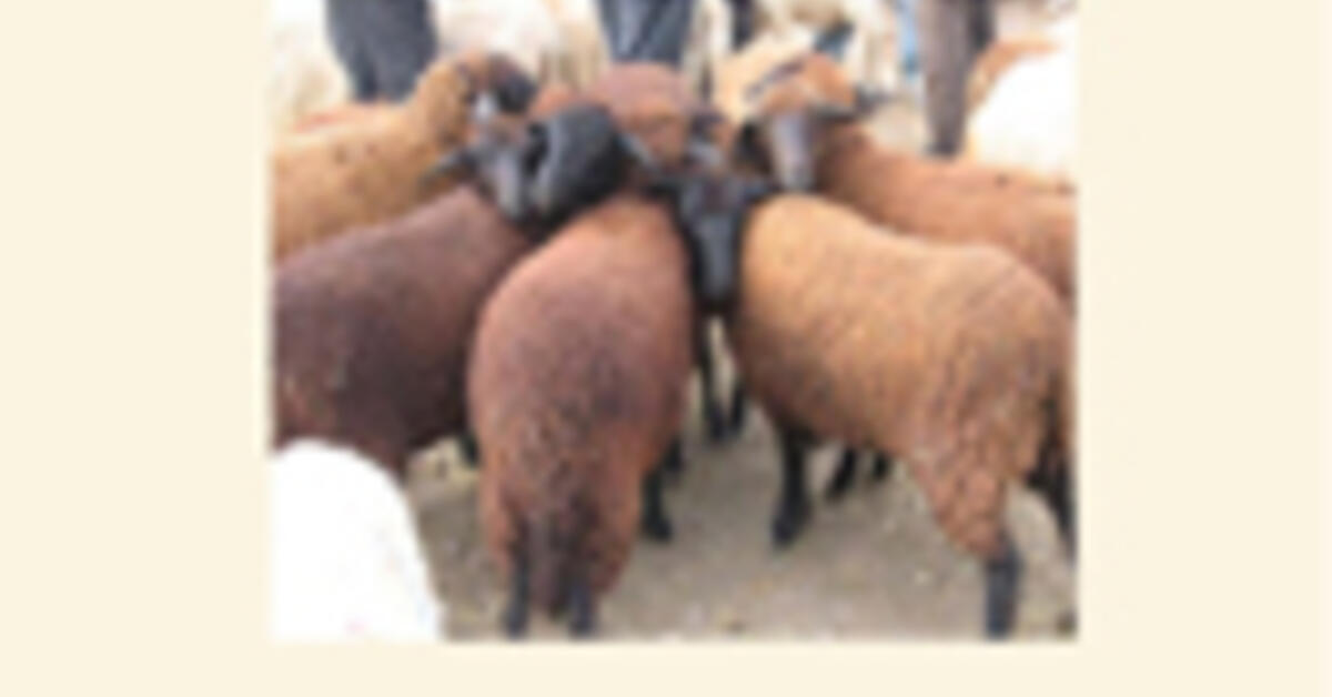 Durabilité des systèmes d'élevage des petits ruminants en Tunisie: une ...