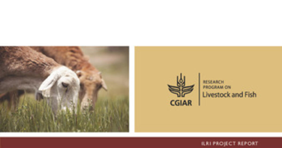 Fodder and feed in livestock value chains in Ethiopia: Final report of ...