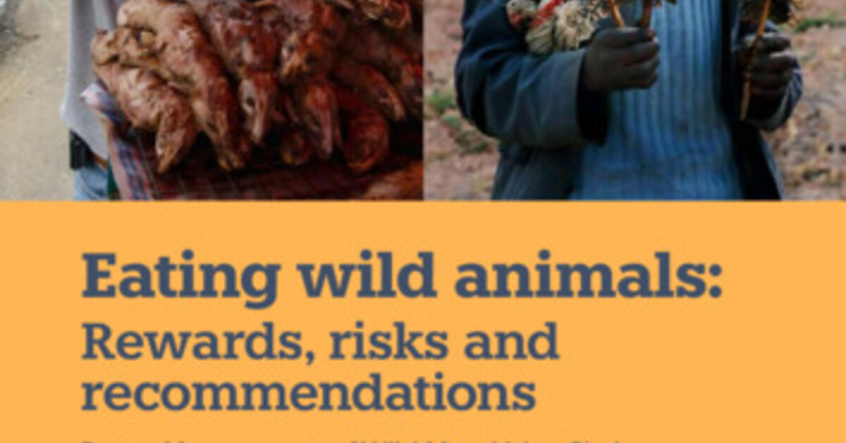 Eating wild animals: Rewards, risks and recommendations
