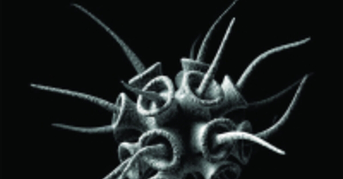 Gene-modified genotype II live attenuated African swine fever virus ...