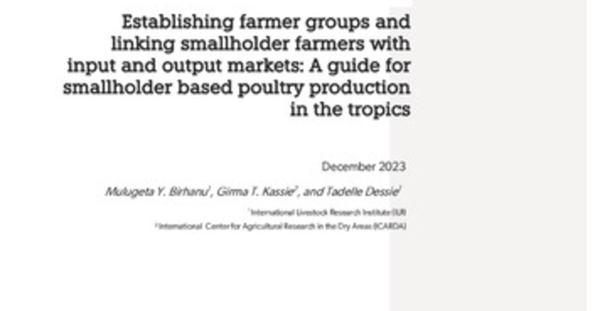 Establishing farmer groups and linking smallholder farmers with input ...