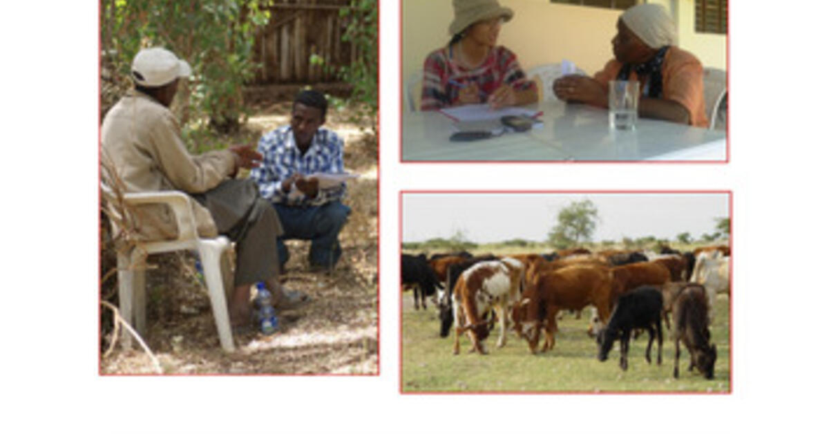 Feed Assessment Tool (FEAST) individual farmer interview questionnaire