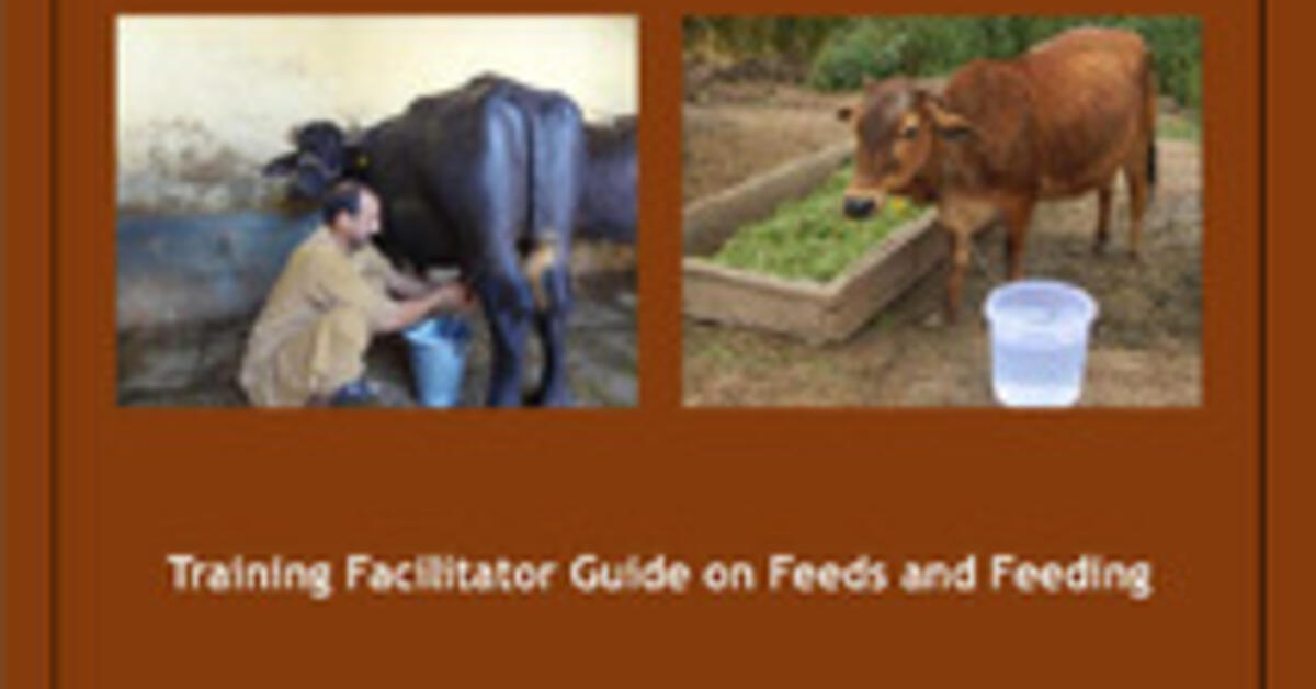 Training facilitator guide on feeds and feeding