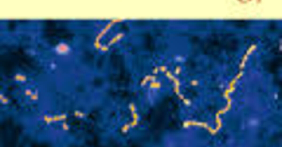 Quantitative value chain approaches for animal health and food safety