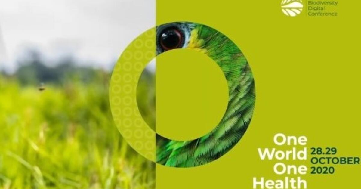 A One Health approach for environmental, animal and human health