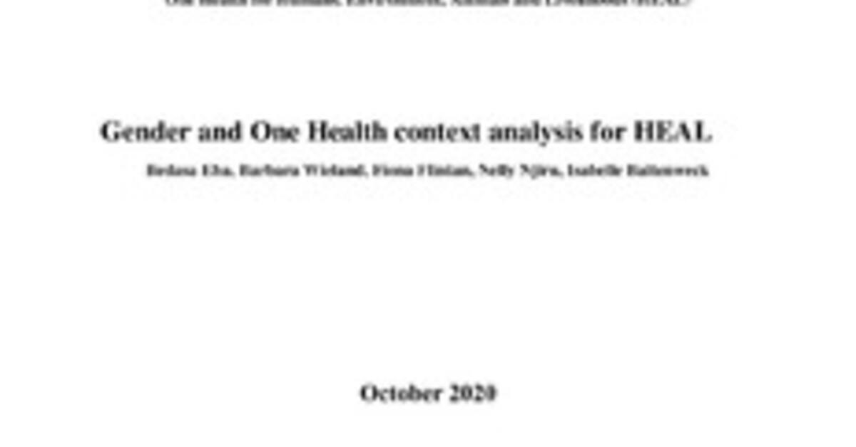 Gender and One Health context analysis for HEAL