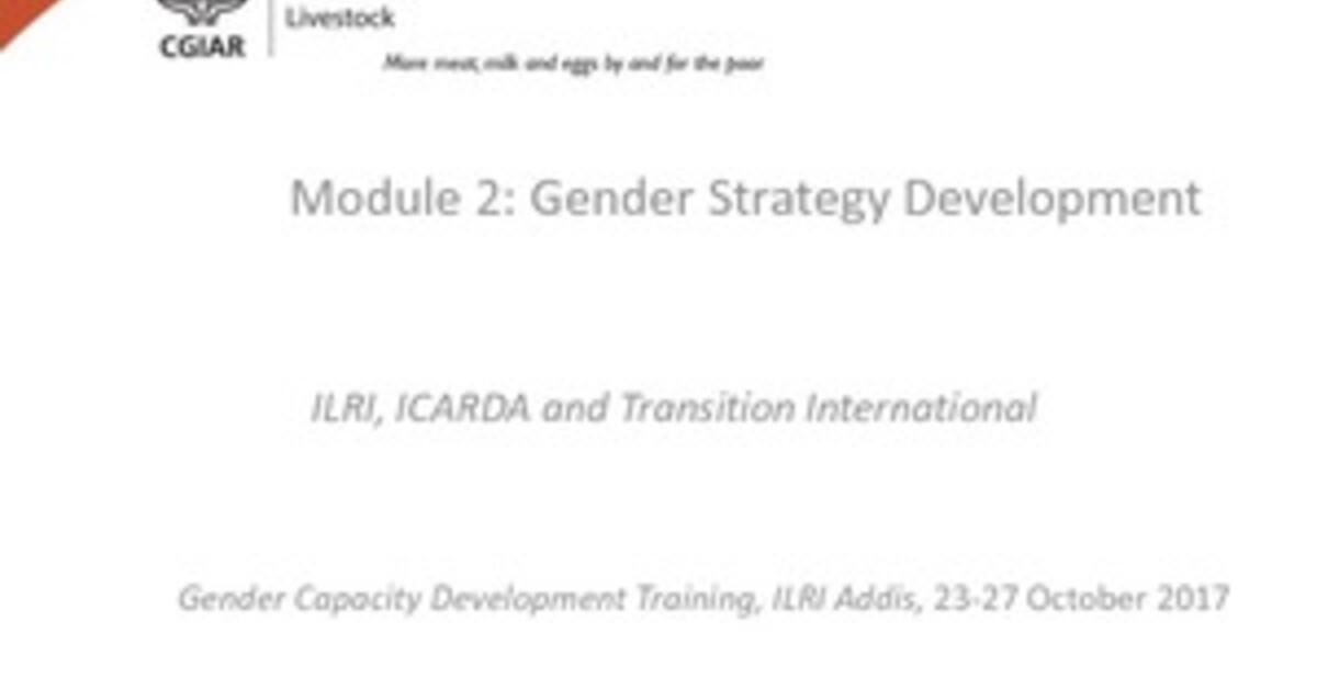 Gender Capacity Development Training Module 2: Gender Strategy Development
