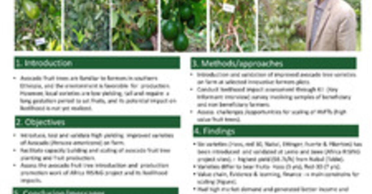 High Value Fruit Trees (HVFT) Production in the Highlands of Ethiopia ...