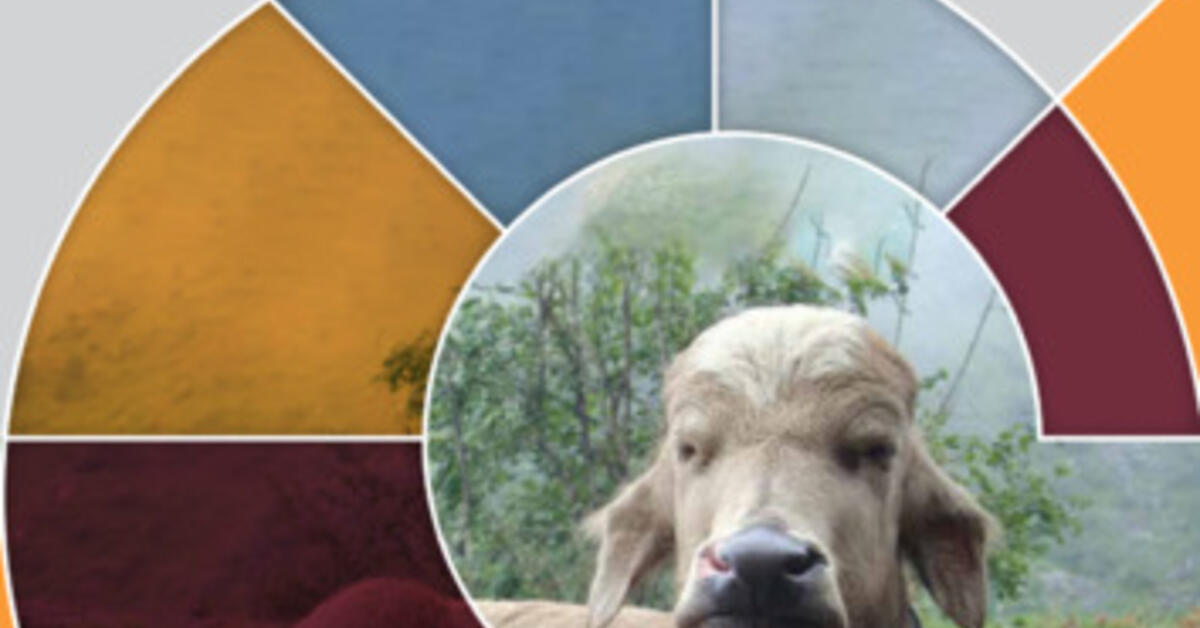 Ilri 2022 Financial Statements