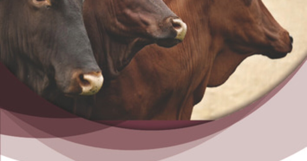 Ilri 2023 Financial Statements