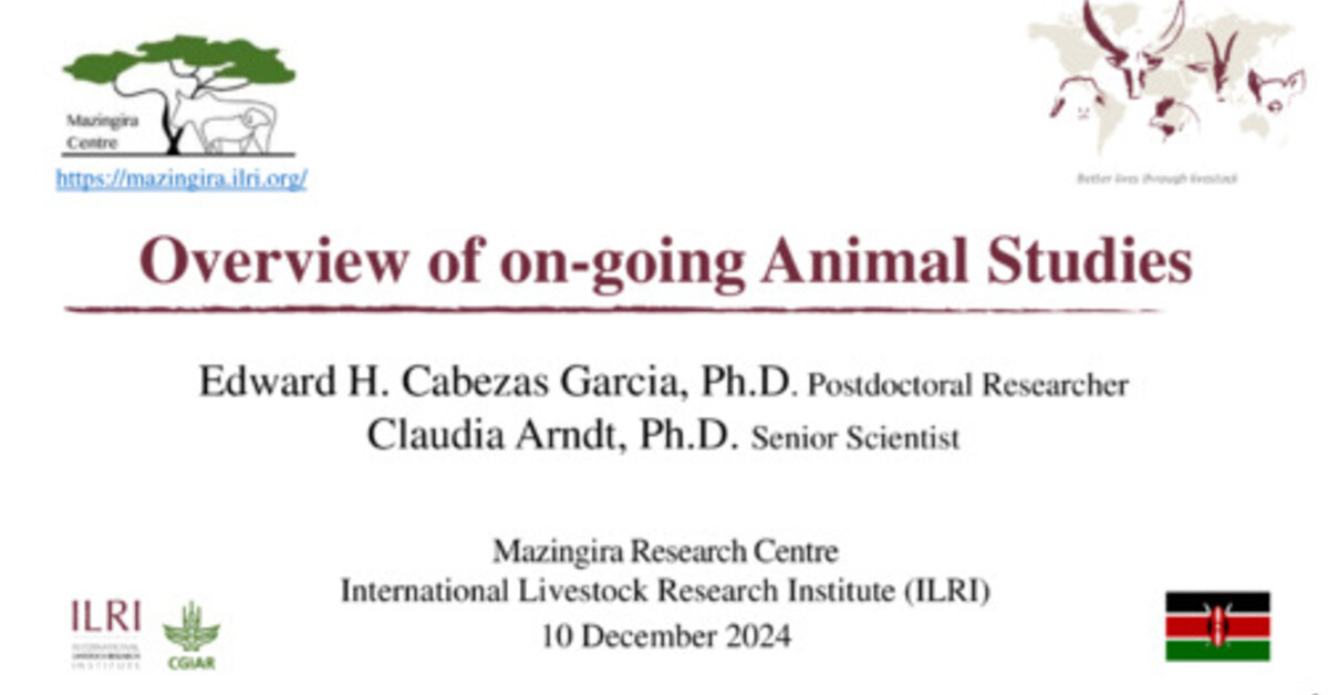 Overview of on-going Animal Studies