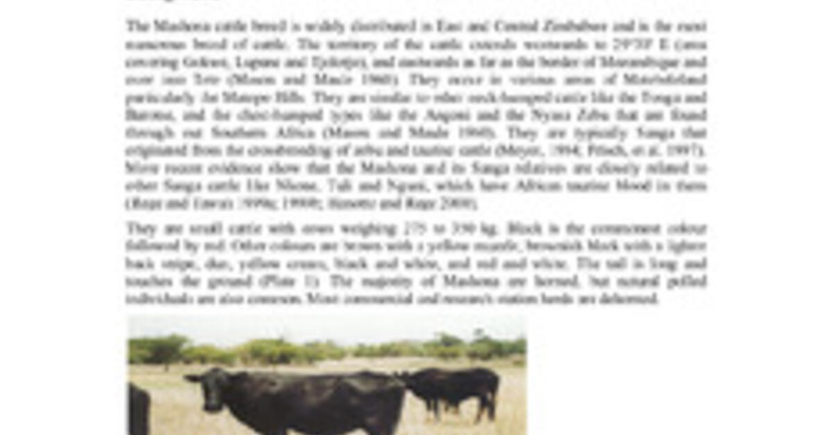 Genetic improvement of indigenous cattle breeds in Zimbabwe: A case ...