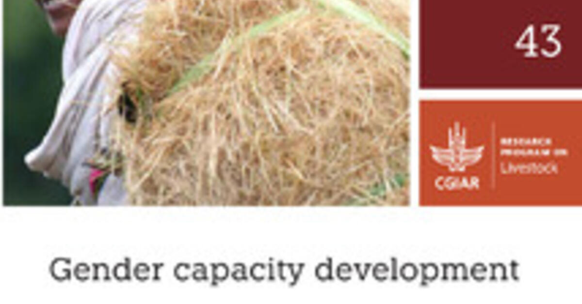 Gender capacity development: Guidelines for trainers