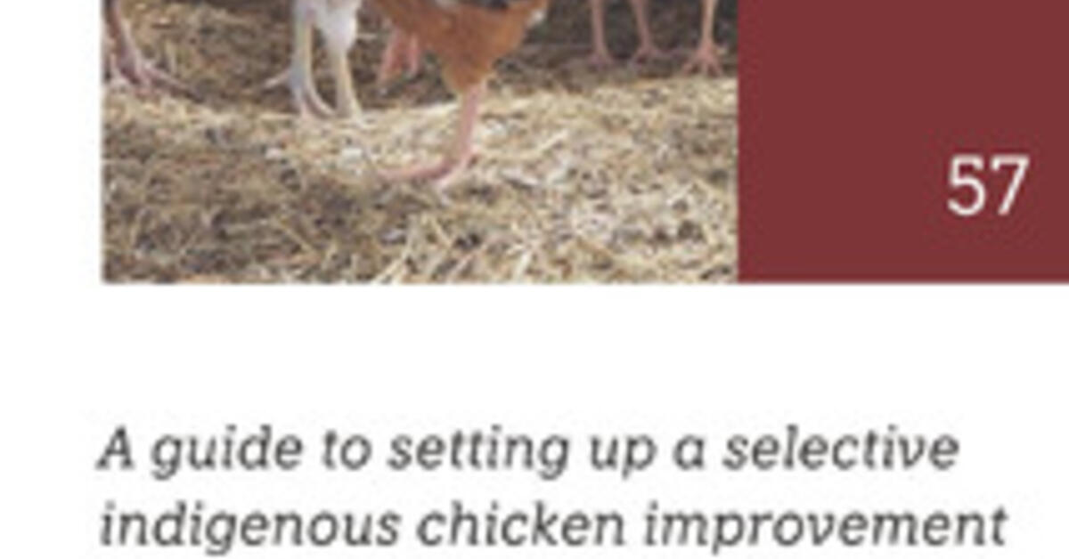 A guide to setting up a selective indigenous chicken improvement ...