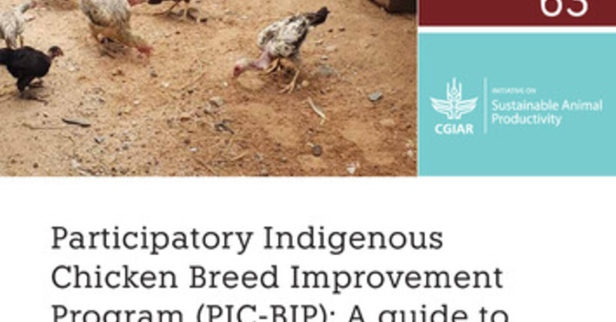 Participatory Indigenous Chicken Breed Improvement Program (PIC-BIP): A ...
