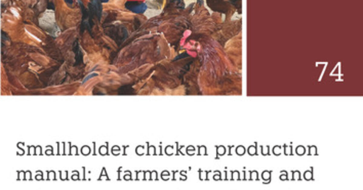 Smallholder chicken production manual: A farmers’ training and ...
