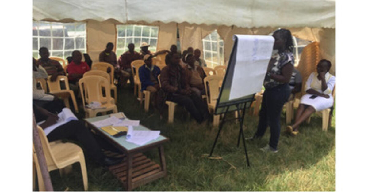 Livestock feeds assessment report from Meru county, Kenya