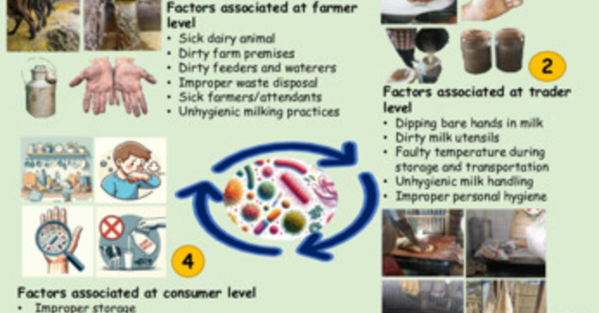 Human health risk associated with microbial risk in milk and milk products