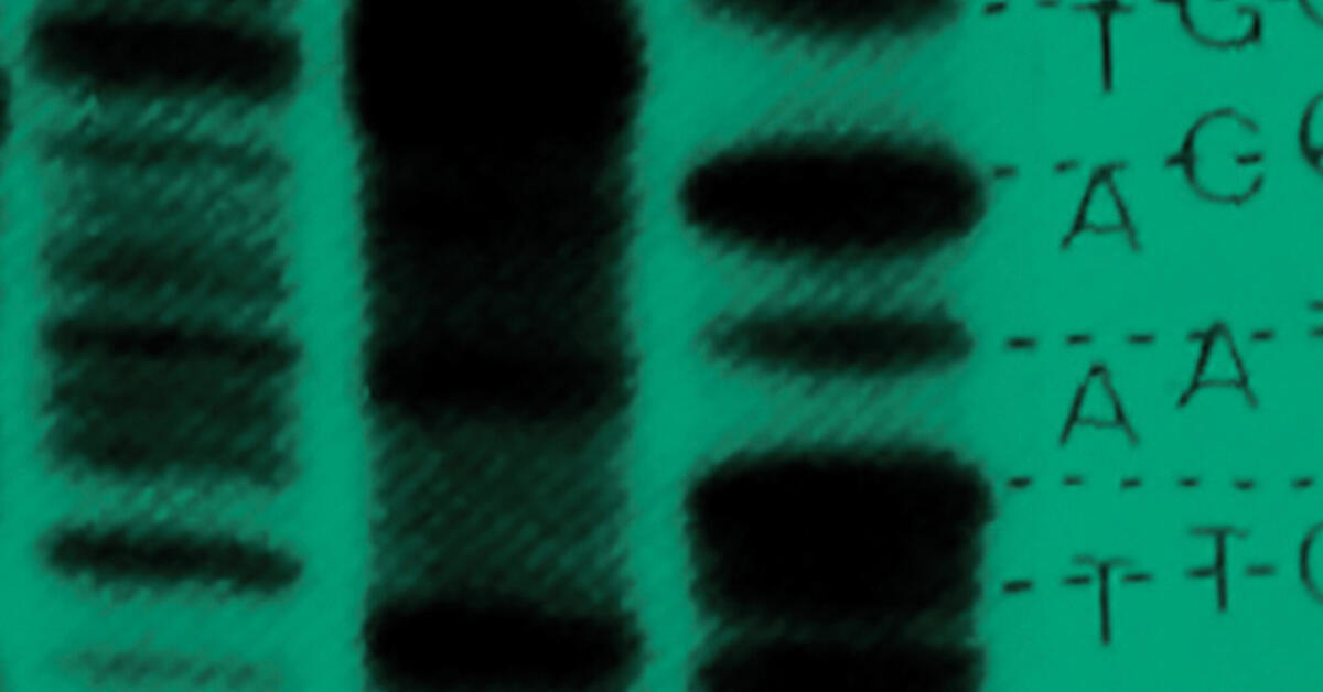 Target capture sequencing for the first Nigerian genotype I ASFV genome