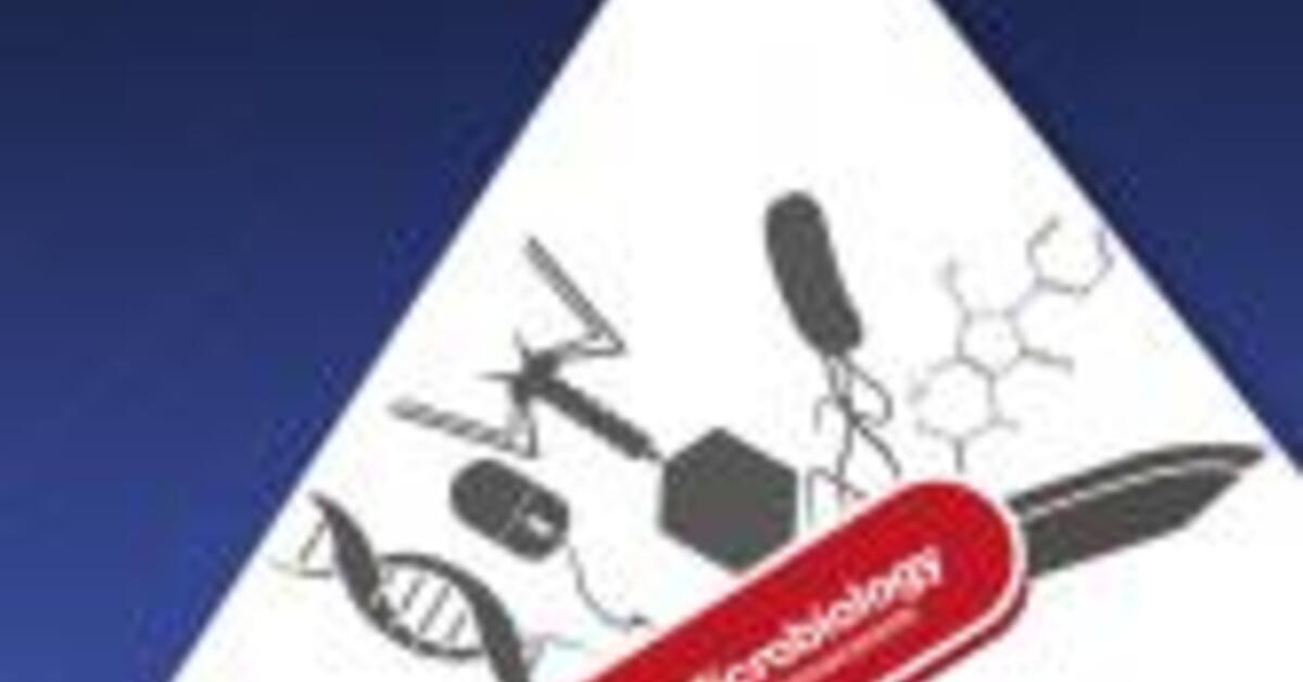 Draft Genome Sequences Of Enterococcus Faecium Enterococcus Gallinarum And Lactococcus Lactis