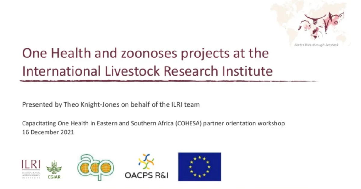 One Health and zoonoses projects at the International Livestock ...