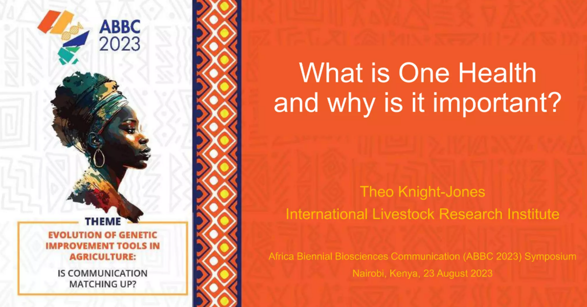 What is One Health and why is it important?