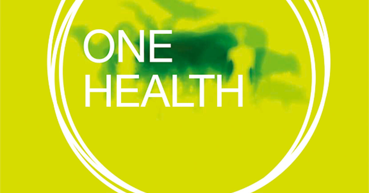 Implementing a one health approach to strengthen the management of ...