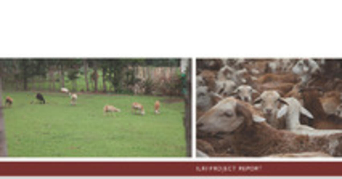 Review of sheep research and development projects in Ethiopia