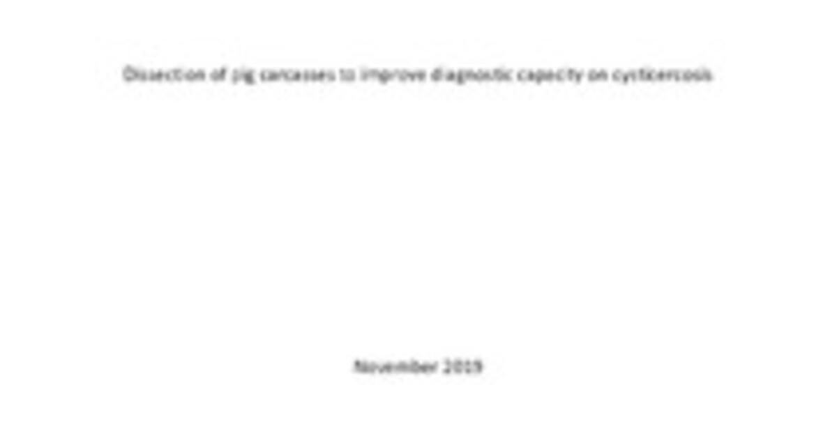 Dissection of pig carcasses to improve diagnostic capacity on cysticercosis