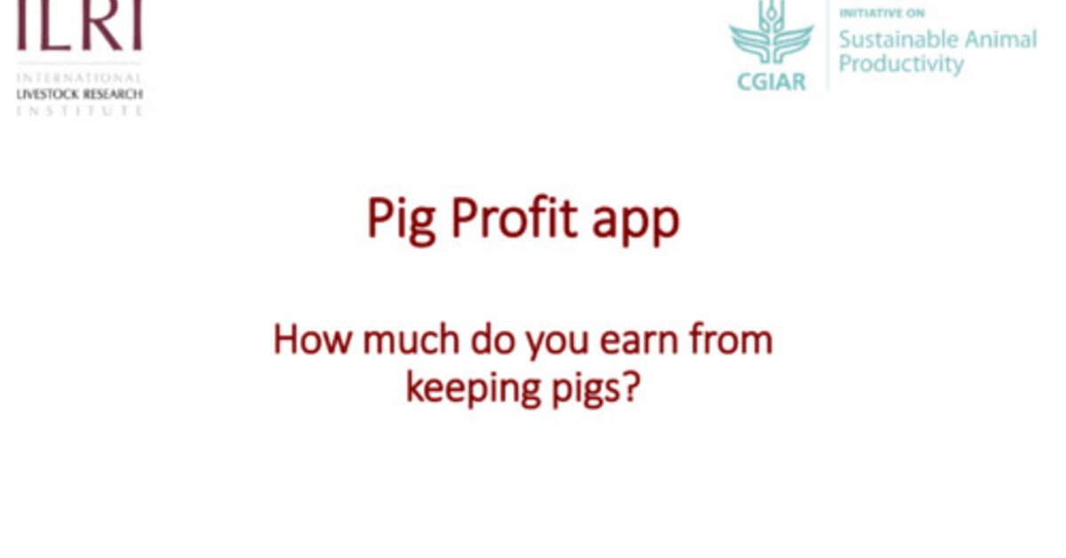 Pig Profit app: How much do you earn from keeping pigs?