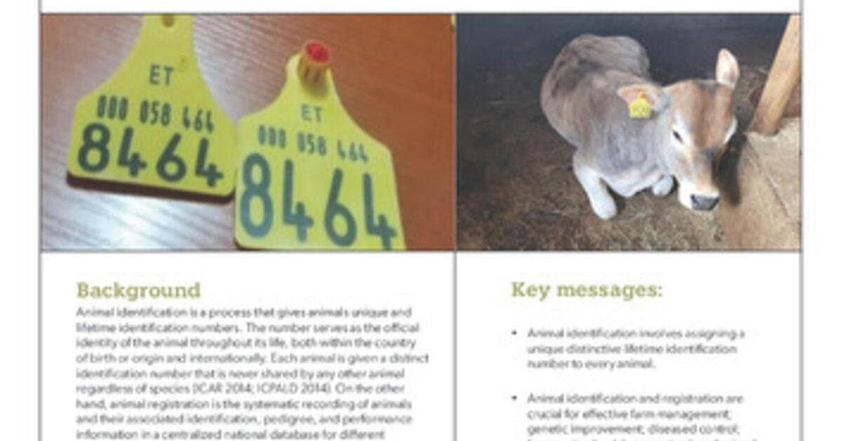 Establishing a comprehensive national livestock identification and ...