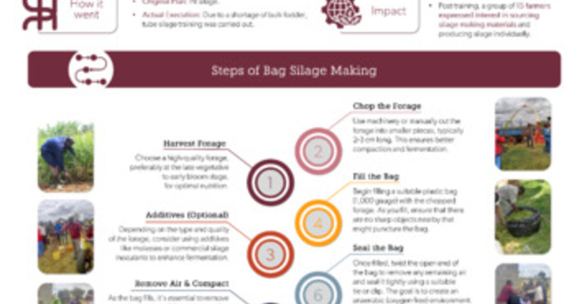 Silage Making Training
