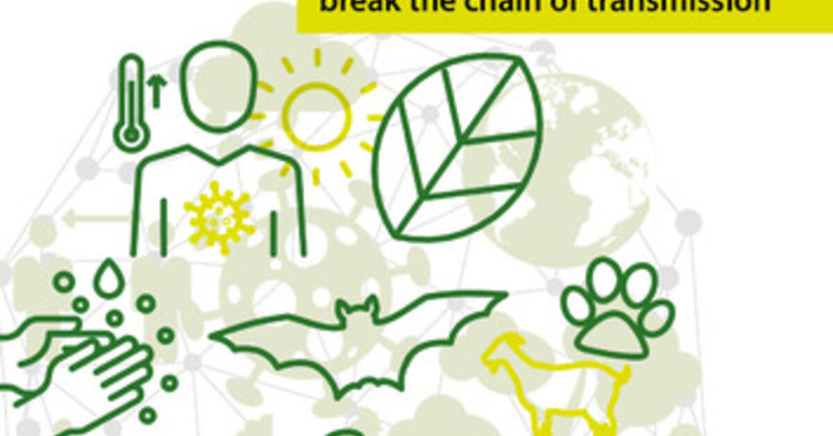 Preventing the next pandemic: Zoonotic diseases and how to break the ...