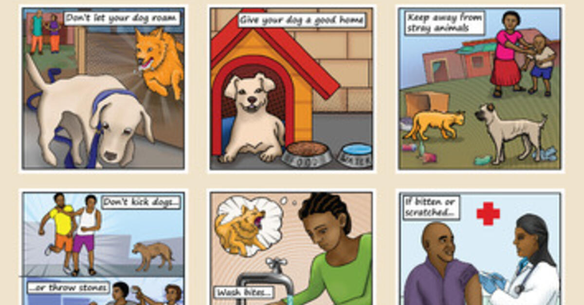 Ten things you should know about rabies