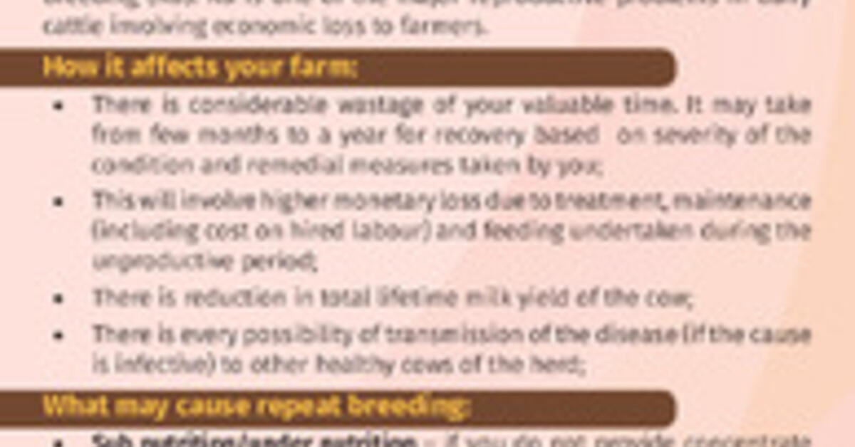 Repeat breeding in cattle: How to reduce its occurrence and improve ...