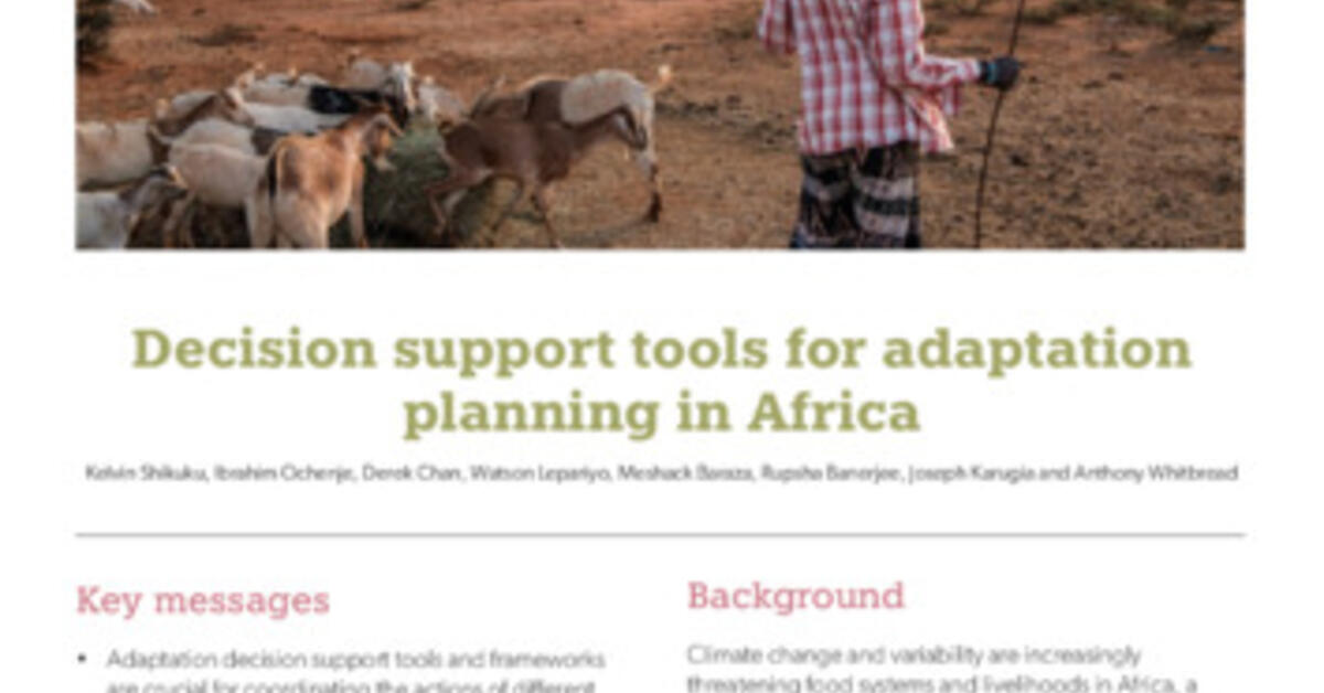 Decision support tools for adaptation planning in Africa
