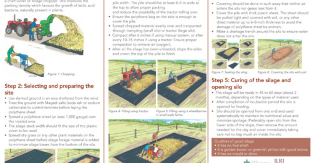 Silage making: Above ground method
