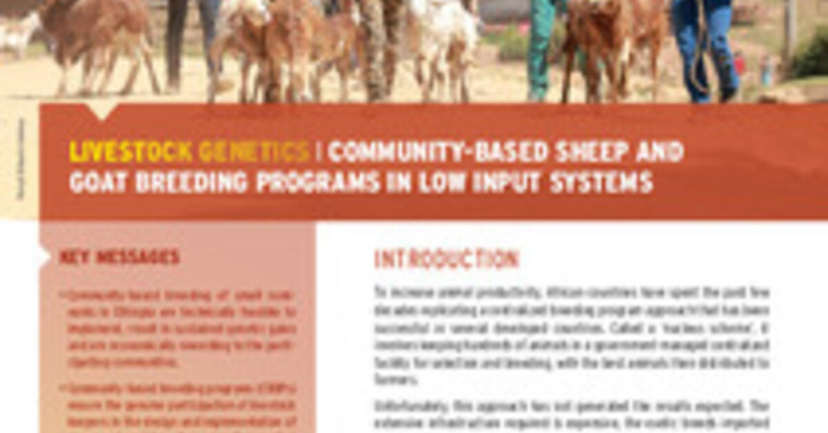 Community-based sheep and goat breeding programs in low input systems