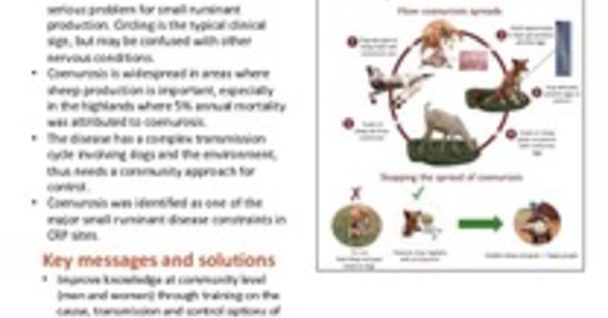 Coenurosis control – break the cycle