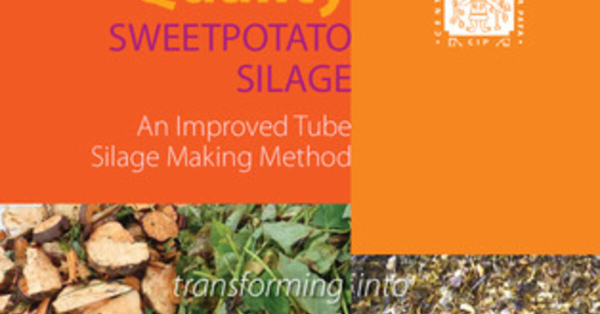Making high quality sweetpotato silage: An improved tube silage making ...