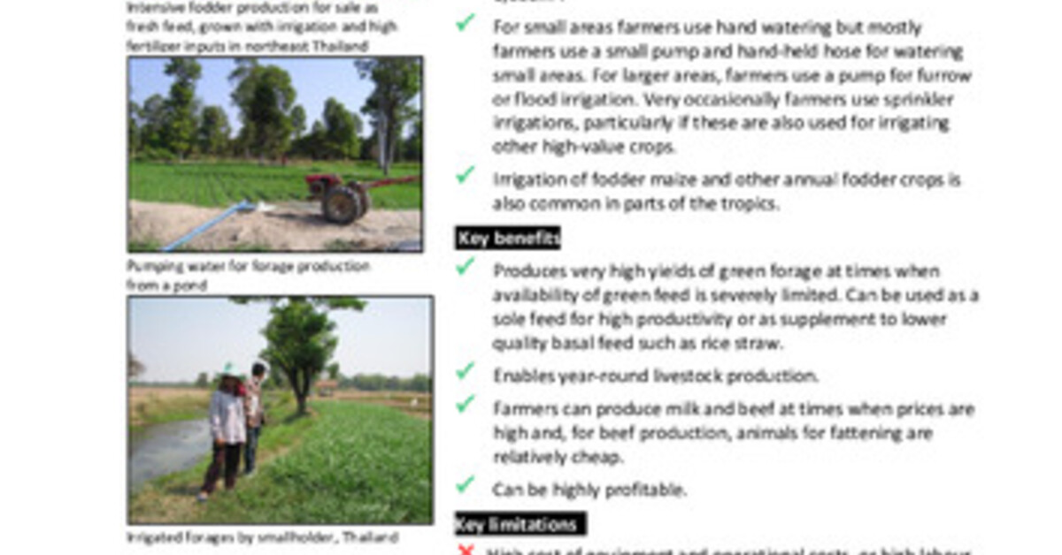 Techfit feed intervention: Irrigated fodder production