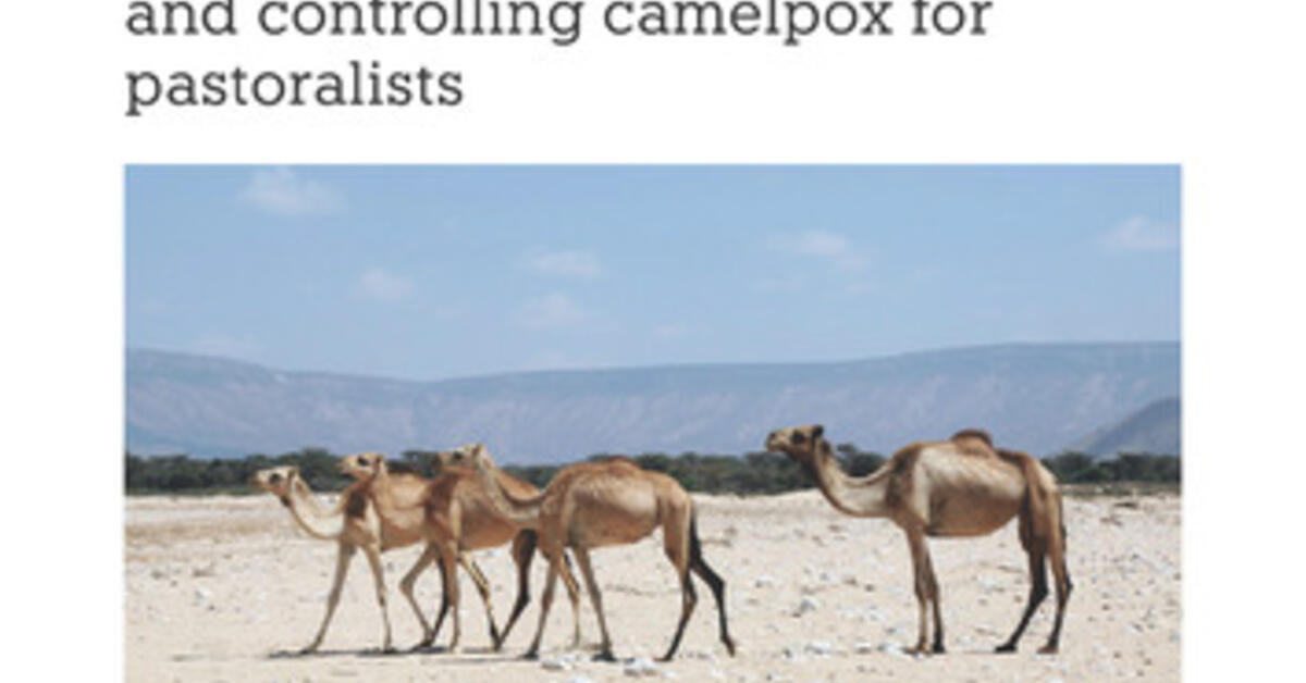 Training material on preventing and controlling camelpox for pastoralists