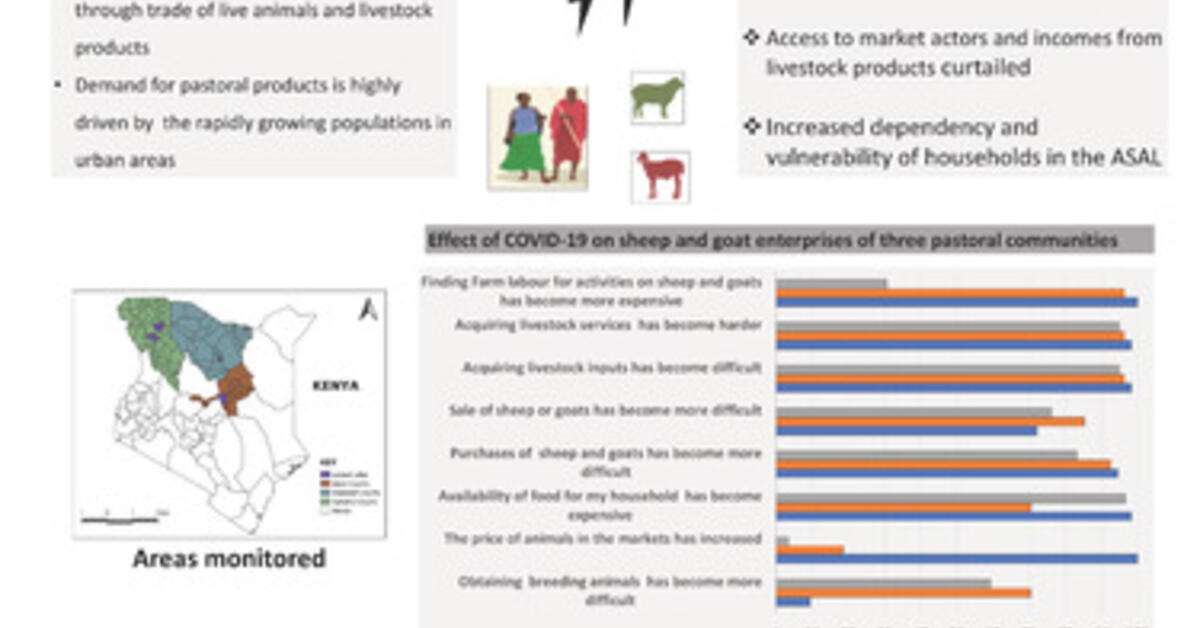Impacts of the Covid-19 pandemic on livelihoods of pastoral communities ...