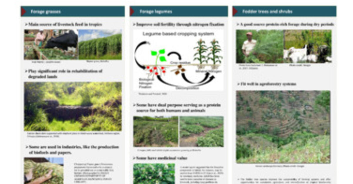 The potential of tropical forage species maintained in the ILRI-forage ...