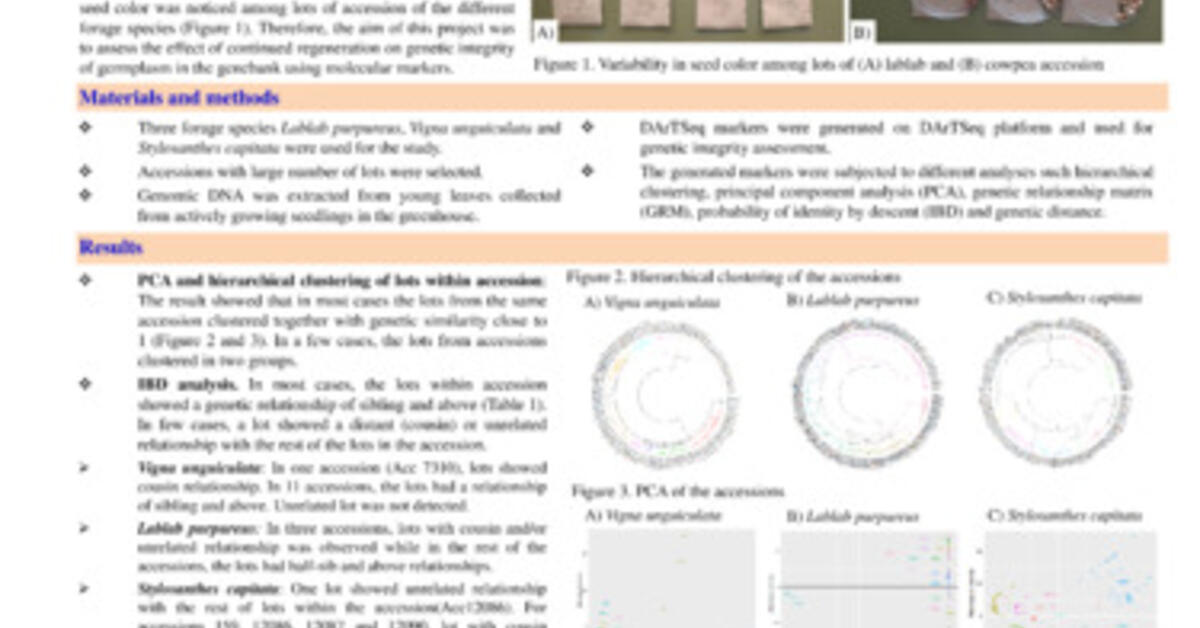 Assessing the impact of continued regeneration on accession’s genetic ...