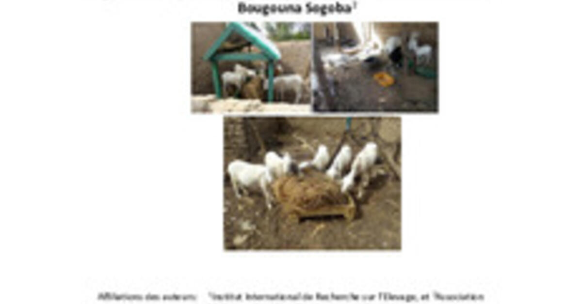 Utilisation efficace des aliments pour bétail grâce aux mangeoires ...