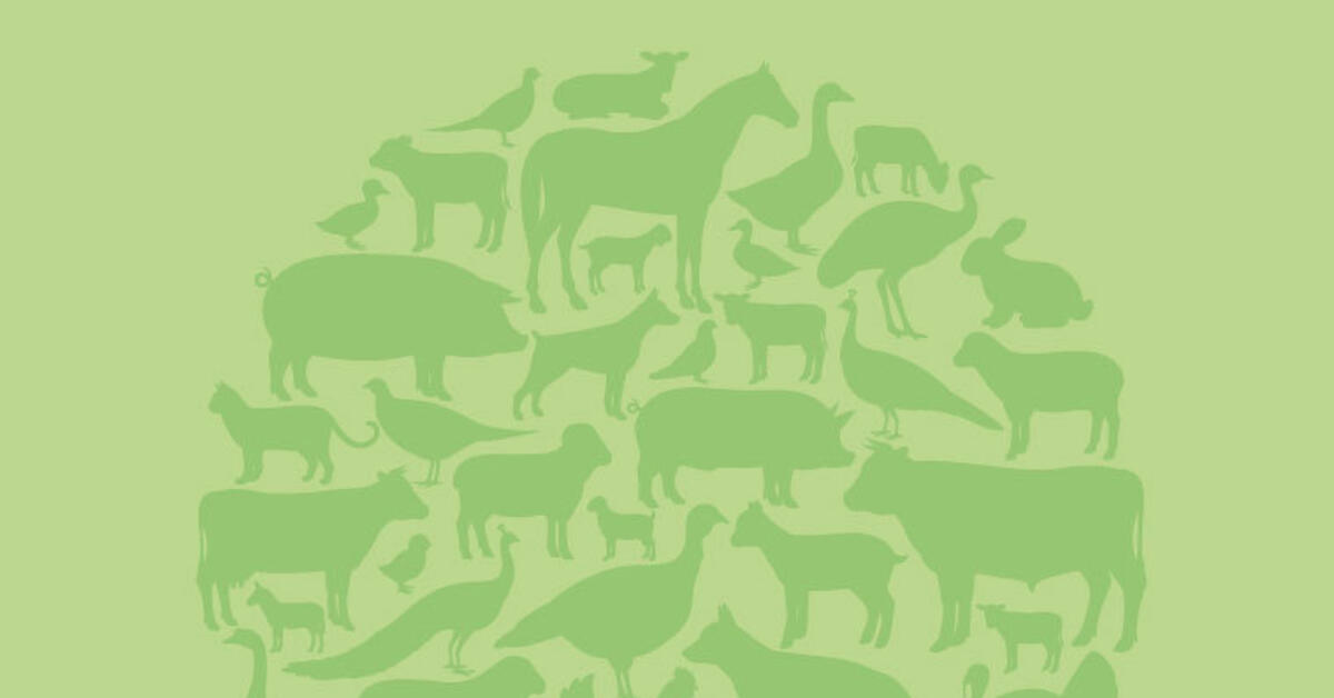 Seroepidemiology of peste des petits ruminants virus in small ruminants ...