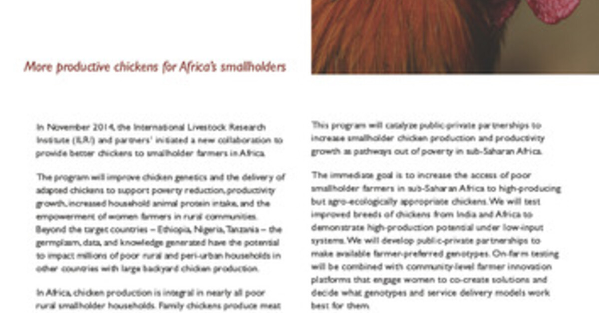 African chicken genetic gains: Providing well-adapted chickens for ...