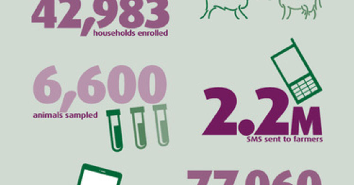 African Dairy Genetic Gains (ADGG) achievements to date: Optimising ...